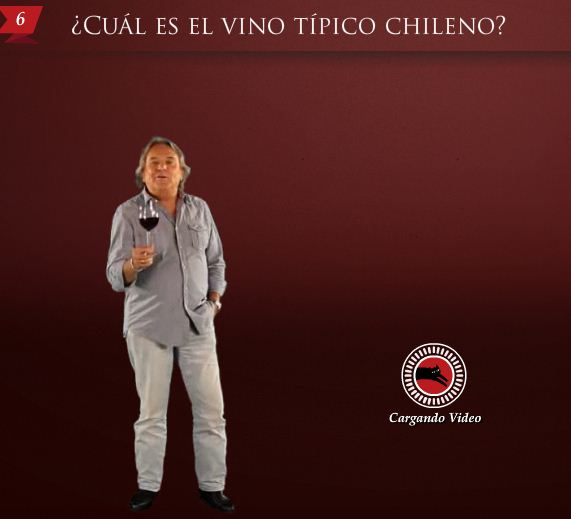 Gato, la marca de vino popular chilena y su trivia de internet.